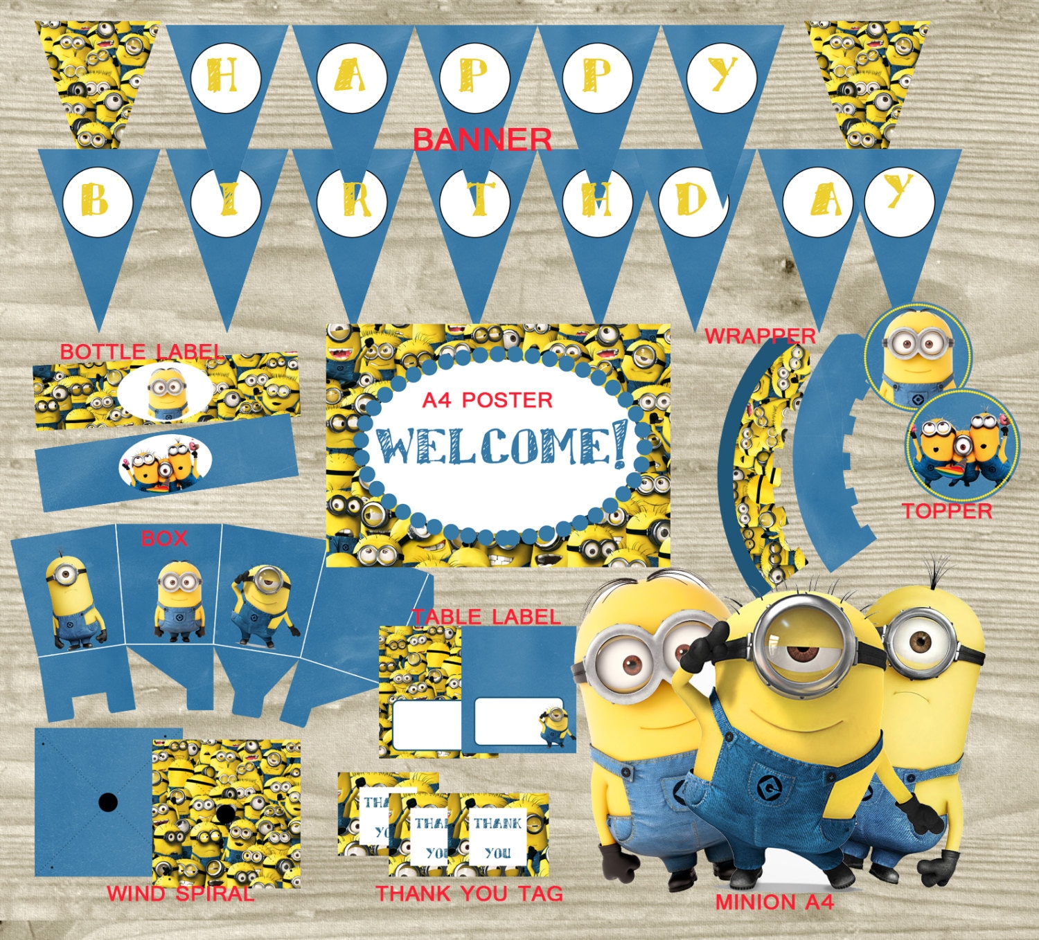Minions Birthday Decorations