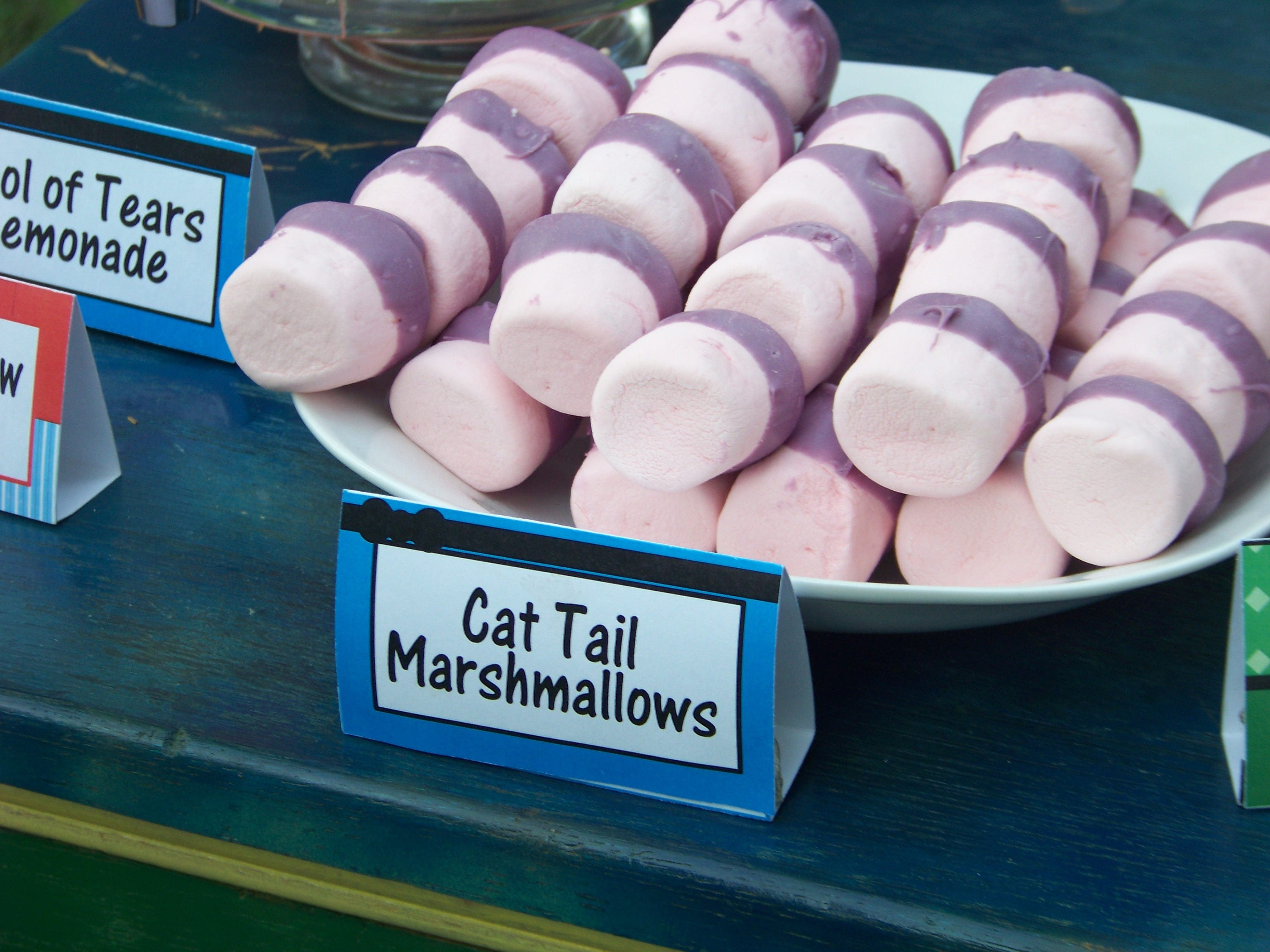 Alice in Wonderland Food Table/place Card Printable File | Etsy