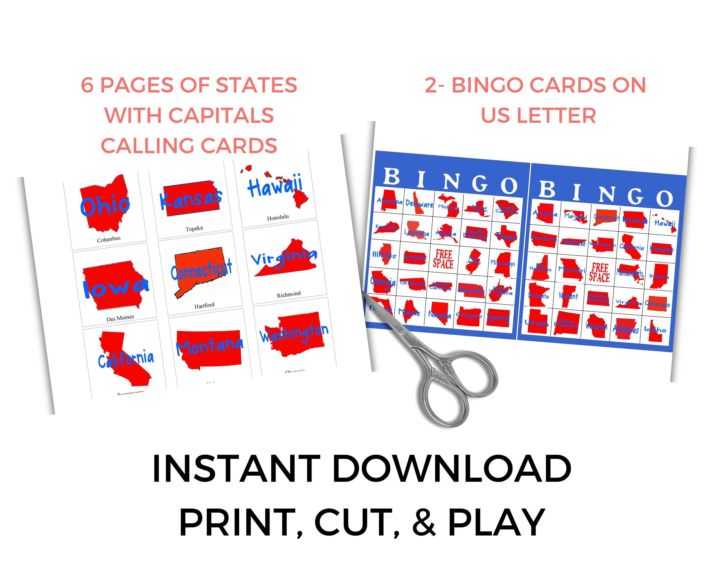 States Bingo Educational Game for Homeschool Activity or Classroom ...