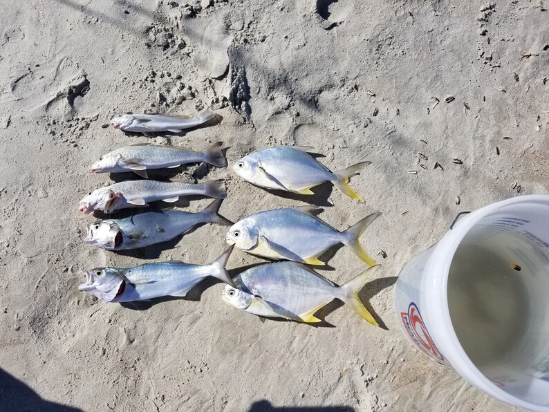 8 Hi-low Surf Fishing Float Rigs for Pompano, Whitingkingfish, Snappers ...