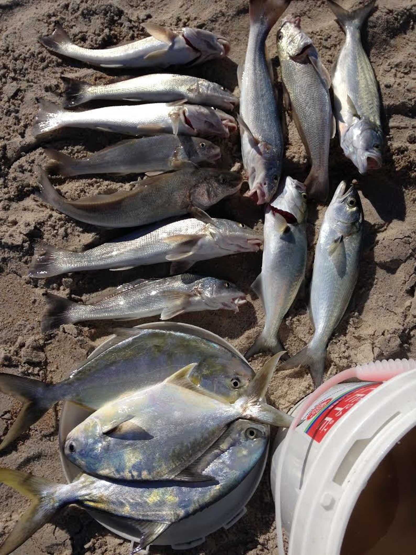Pompano Candy Hi-low Fishing Rigs 2-pack Bullet Floats Pompano Whiting ...
