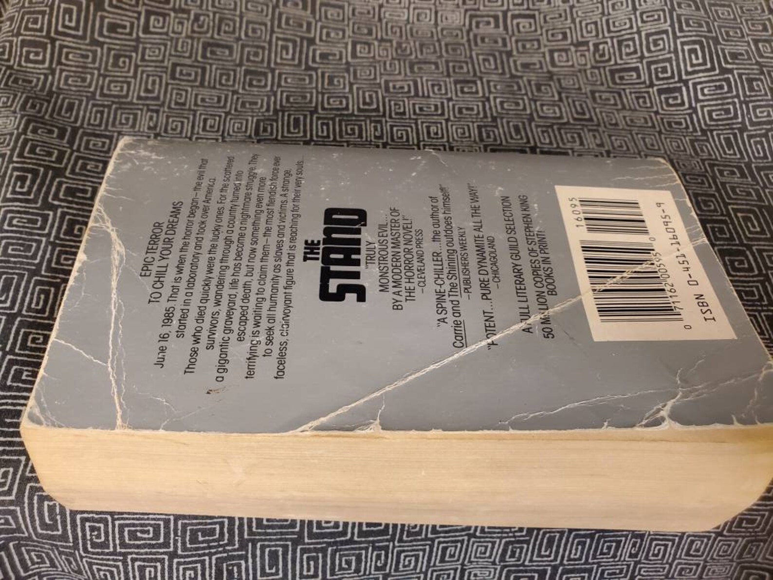 Stephen King THE STAND Paperback Book 1980 Gift for Horror - Etsy