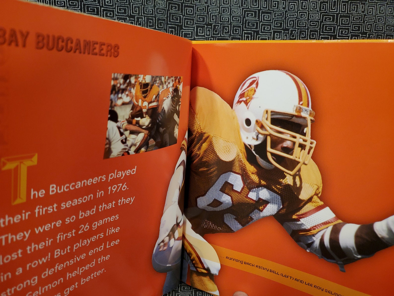 Tampa Bay Buccaneers Hardcover Book Super Bowl Champions - Etsy