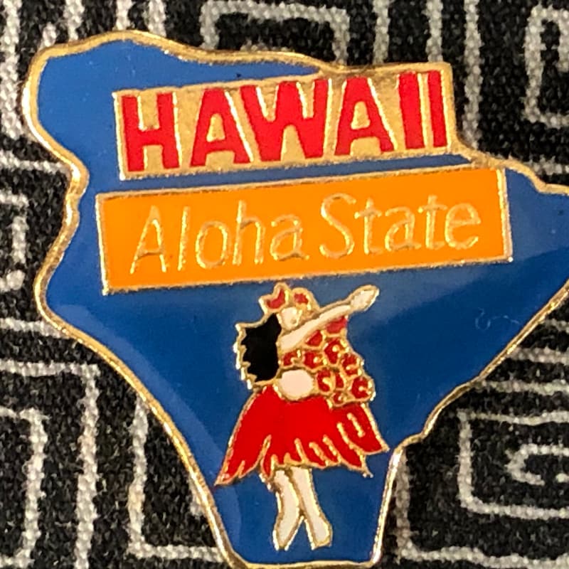 Hawaii Pin - Etsy