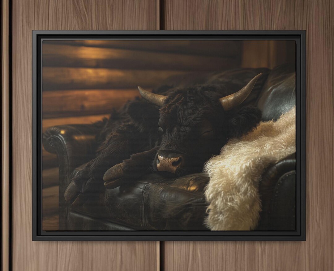 Black Highland Cow Calf Sleeping on Couch, Framed Canvas Wall Art ...