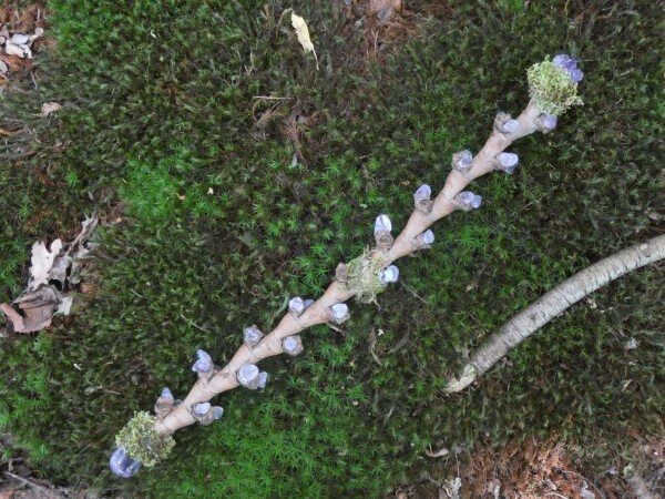 Amethyst Magic Wand 15.5 Inches Natural Magic Wand Moss Magic | Etsy