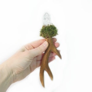 Antler Magic Wand Clear Crystal Wooden Antler Wand Wizard Wand Fairy ...