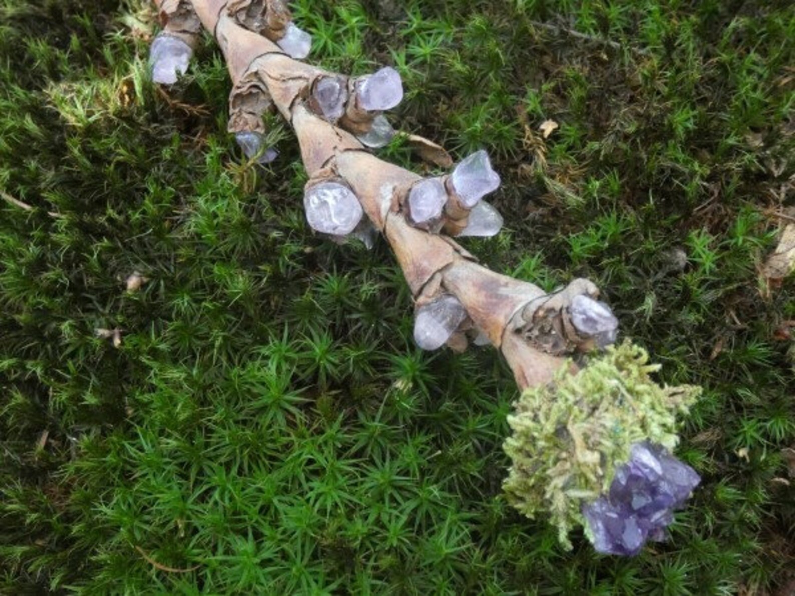 Amethyst Magic Wand 15.5 Inches Natural Magic Wand Moss Magic - Etsy