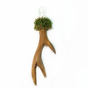 Antler Magic Wand Clear Crystal Wooden Antler Wand Wizard Wand Fairy ...