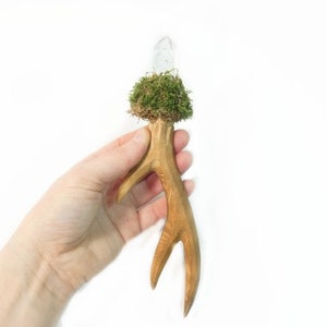 Antler Magic Wand Clear Crystal Wooden Antler Wand Wizard Wand Fairy ...