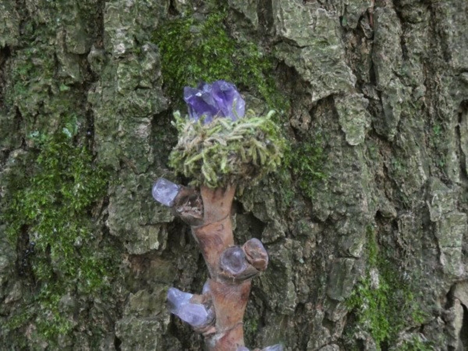 Amethyst Magic Wand 15.5 Inches Natural Magic Wand Moss Magic - Etsy