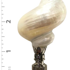 Royal Designs Inc. Natural Seashell Lamp Finial White Shell - Etsy