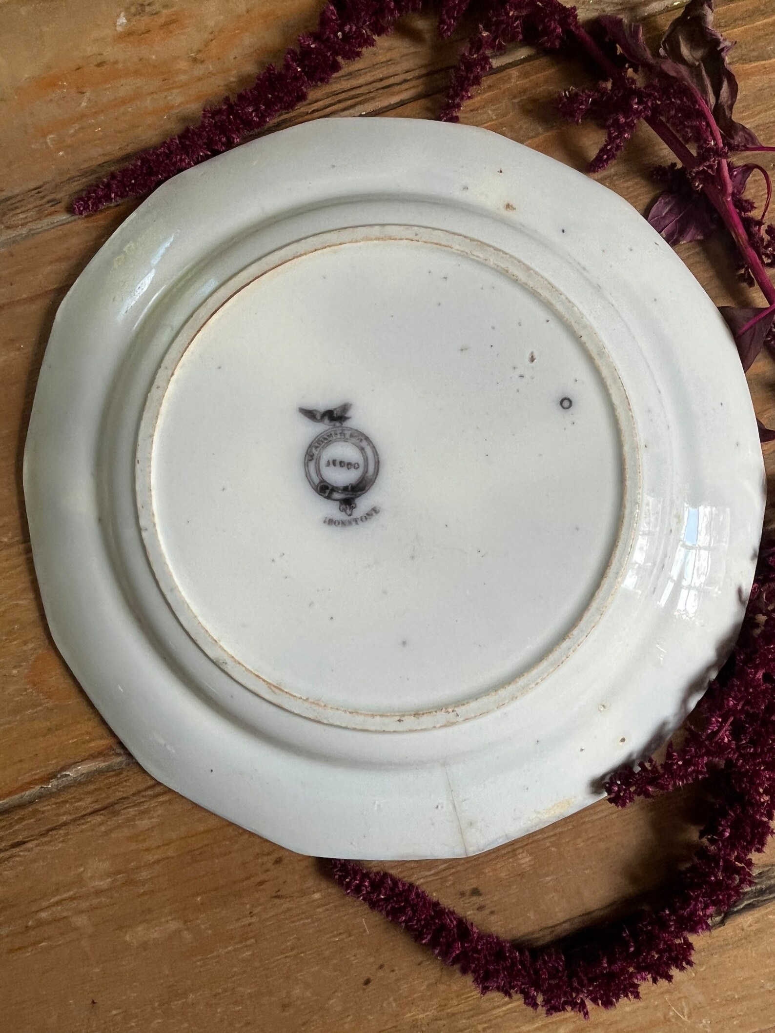 Rare W Adams & Sons Jeddo Ironstone Plate-antique Flow Black Ironstone ...