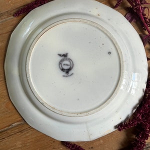 Rare W Adams & Sons Jeddo Ironstone Plate-antique Flow Black Ironstone ...