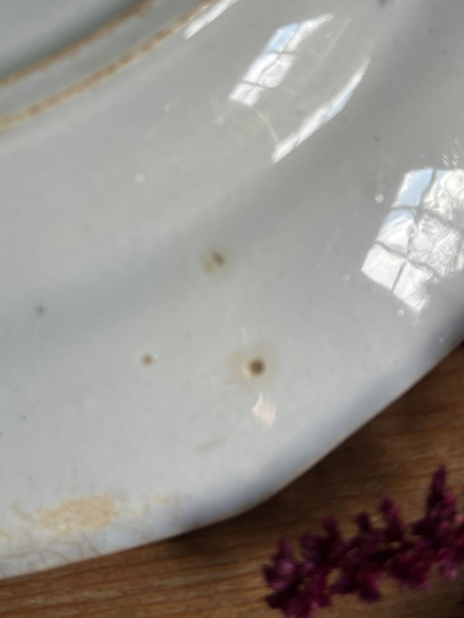 Rare W Adams & Sons Jeddo Ironstone Plate-antique Flow Black Ironstone ...