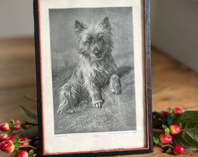 Antique Rosa Bonheur Terrier Lithograph- “wasp” by Rosa Bonheur ...