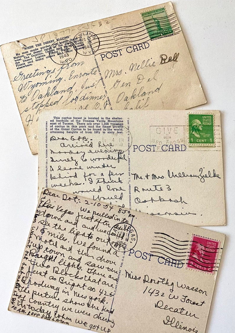 3 Pages of High Res DIGITAL SCANS of Vintage 1950s Postcards, Cactus ...