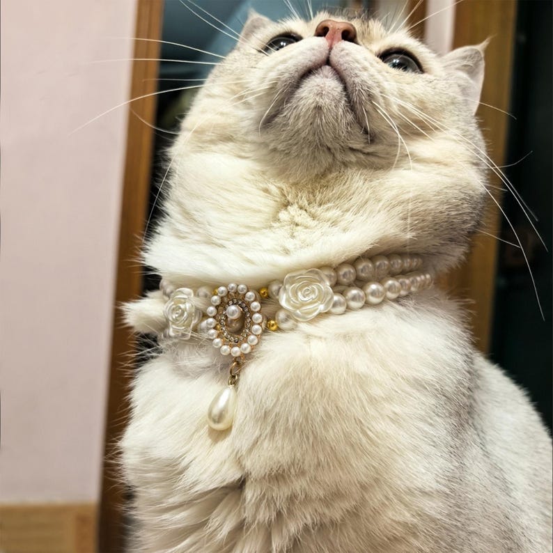 Elegant Pearl Cat Collar With Pendant, Adjustable Kitten Collar ...