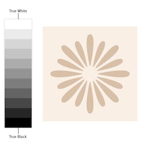 Soft Terracotta Tile Decals, Beige Boho Flower Tile Stickers, Peel ...