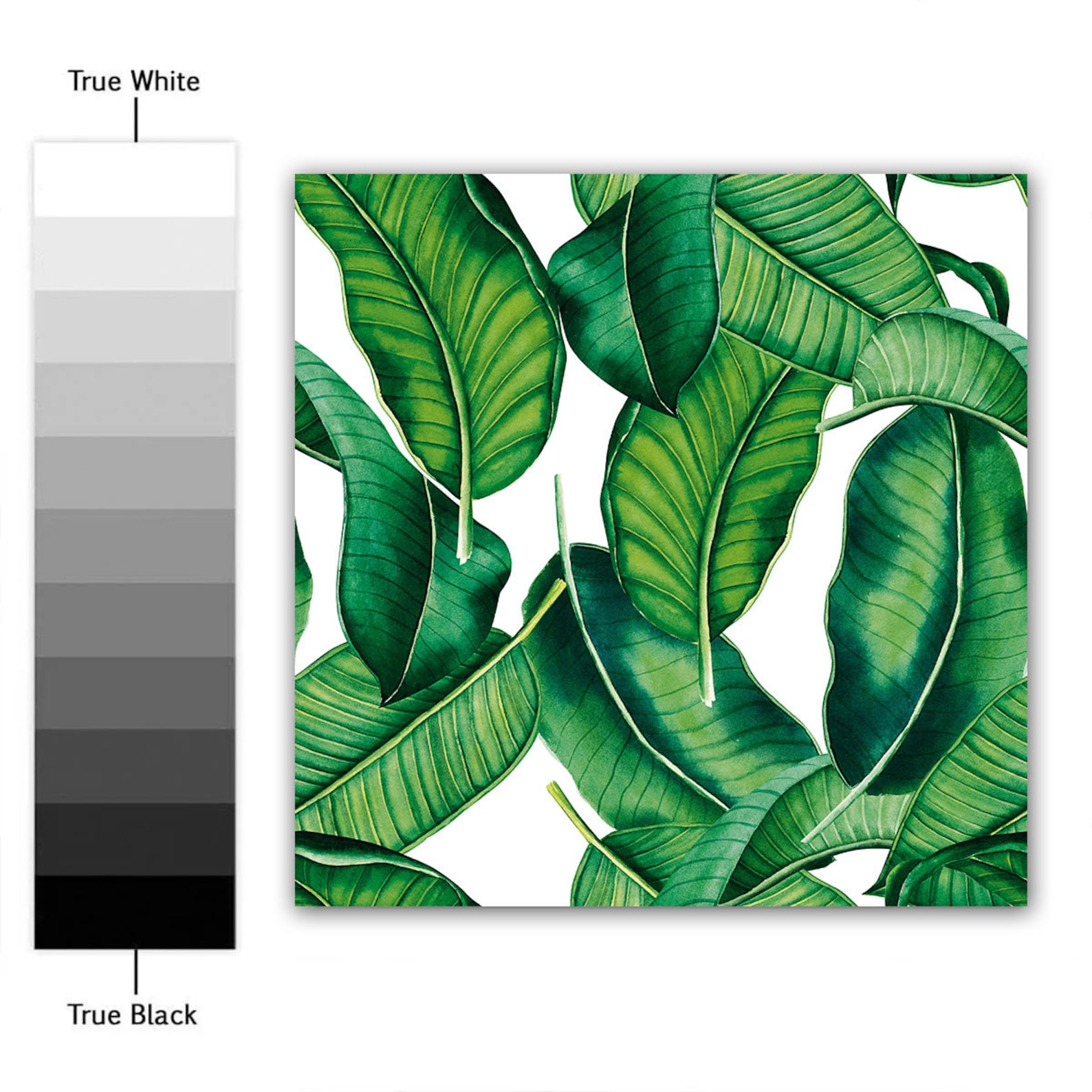 Banana Leaf Tile Stickers Tropical Leaves Green Leaves - Etsy