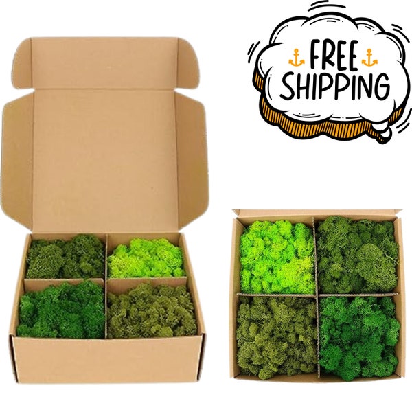 Terrarium Moss - Etsy