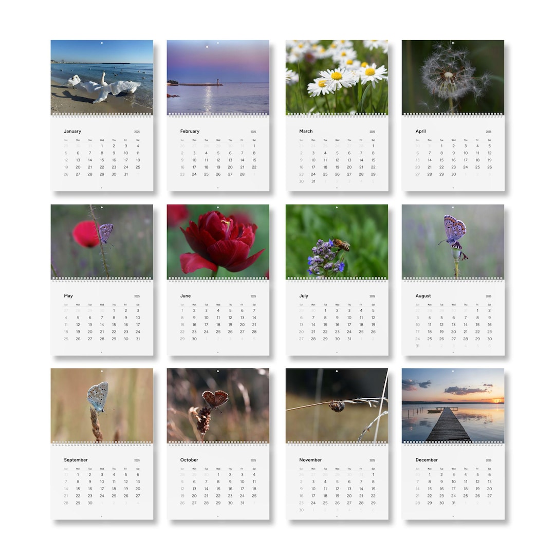 Nature-inspired Wall Calendar 2025 | Artistic Landscape & Wildlife ...