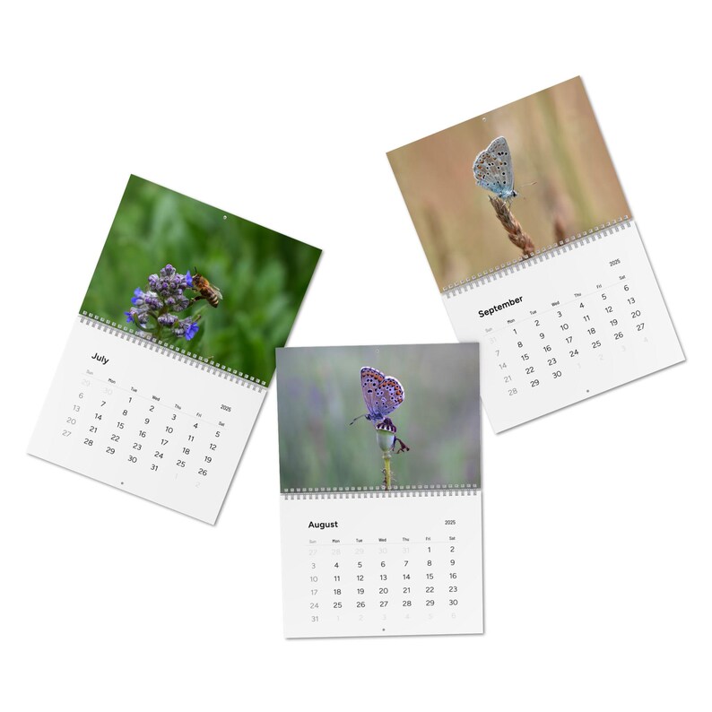 Nature-inspired Wall Calendar 2025 | Artistic Landscape & Wildlife ...
