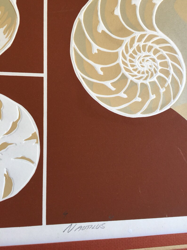 2 Ocean Sea Shells Embossed Serigraph Prints Signed by Artist | Etsy