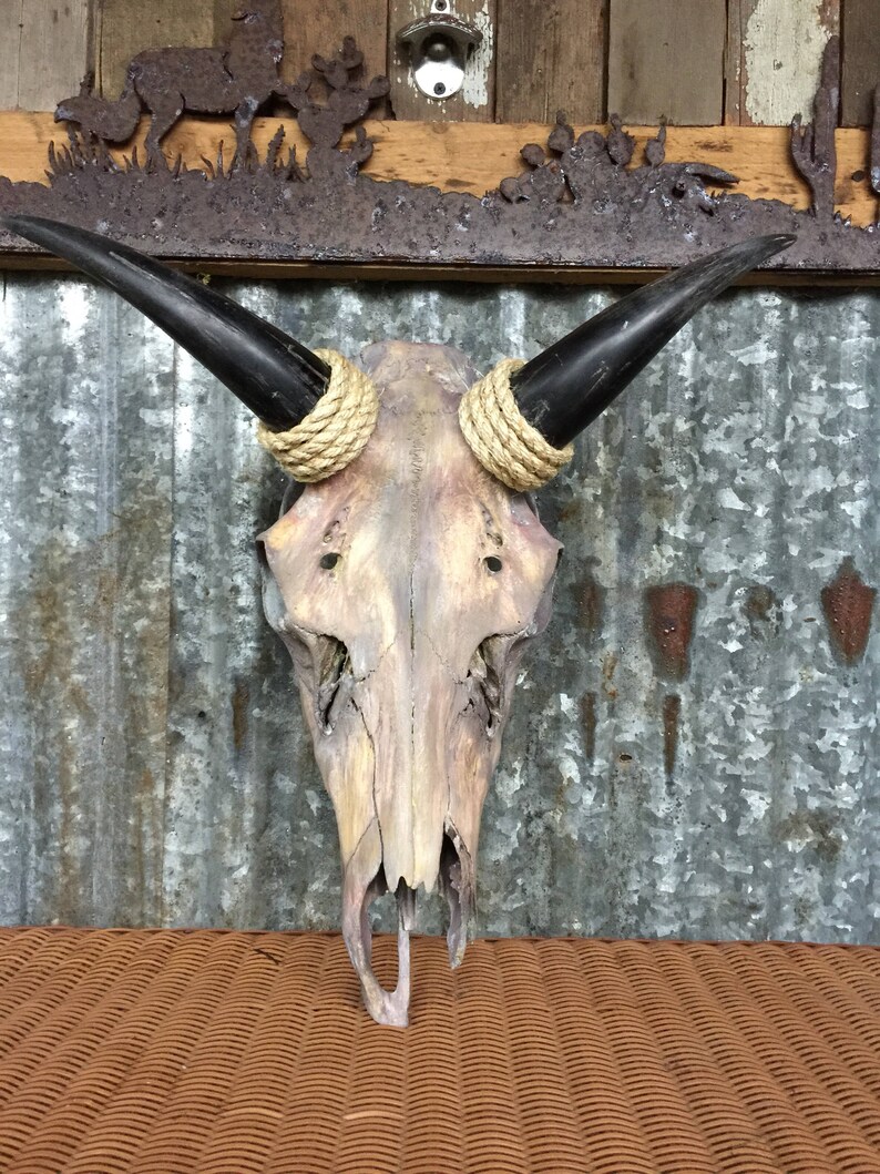 1 of a Kind Big Custom Made Skull and Horns - Etsy