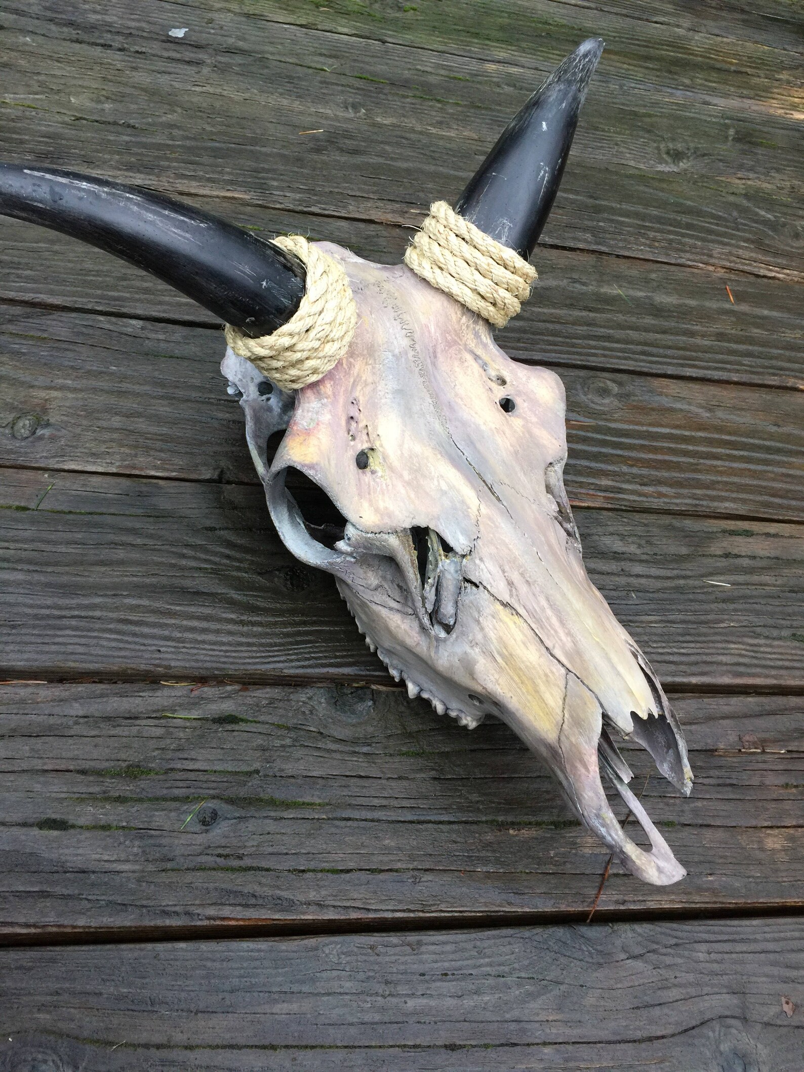 1 of a Kind Big Custom Made Skull and Horns - Etsy
