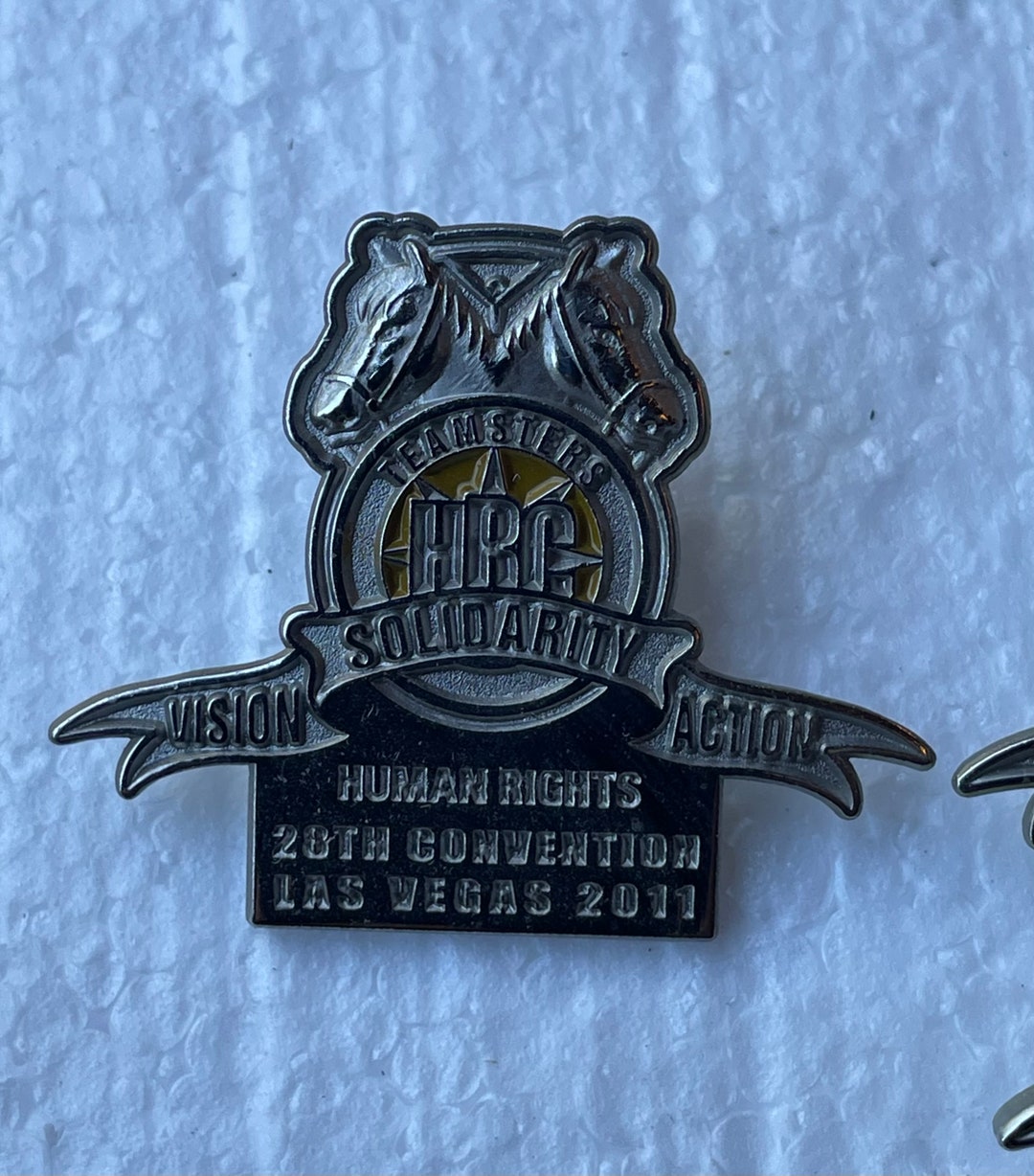 International Brotherhood of Teamsters “ Human Rights “ Union Pin ...