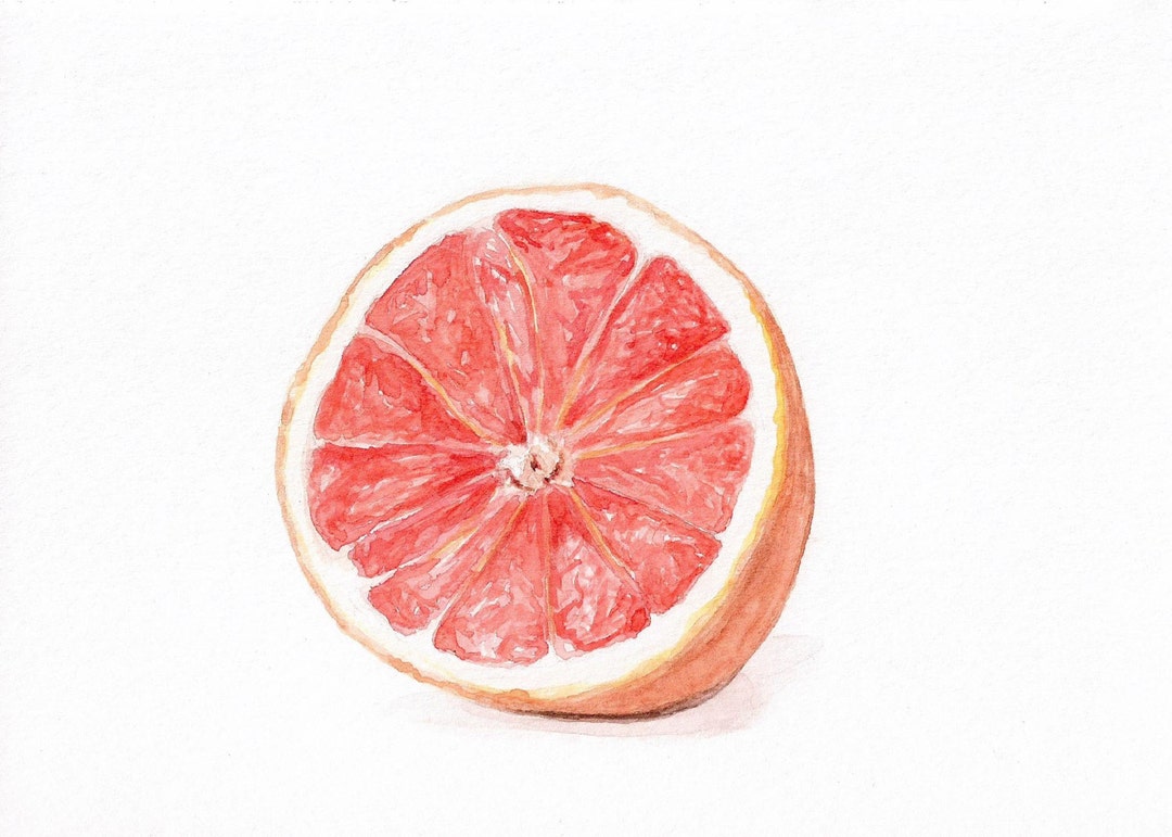 Grapefruit Art PRINT, Kitchen Decor, Dining Room Art, Restaurant Art ...