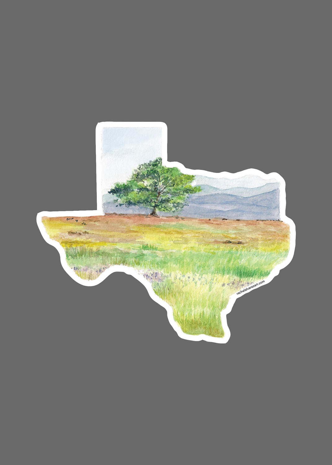 Texas Vinyl Sticker Texas State Decal Texas Pride Decal | Etsy