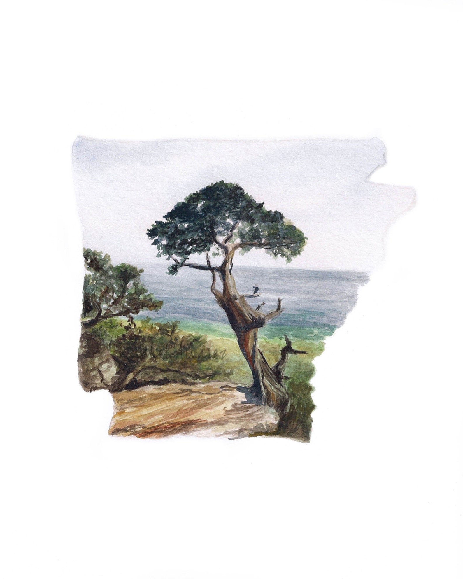 Arkansas State Art Card Arkansas Notecard Arkansas Gift - Etsy