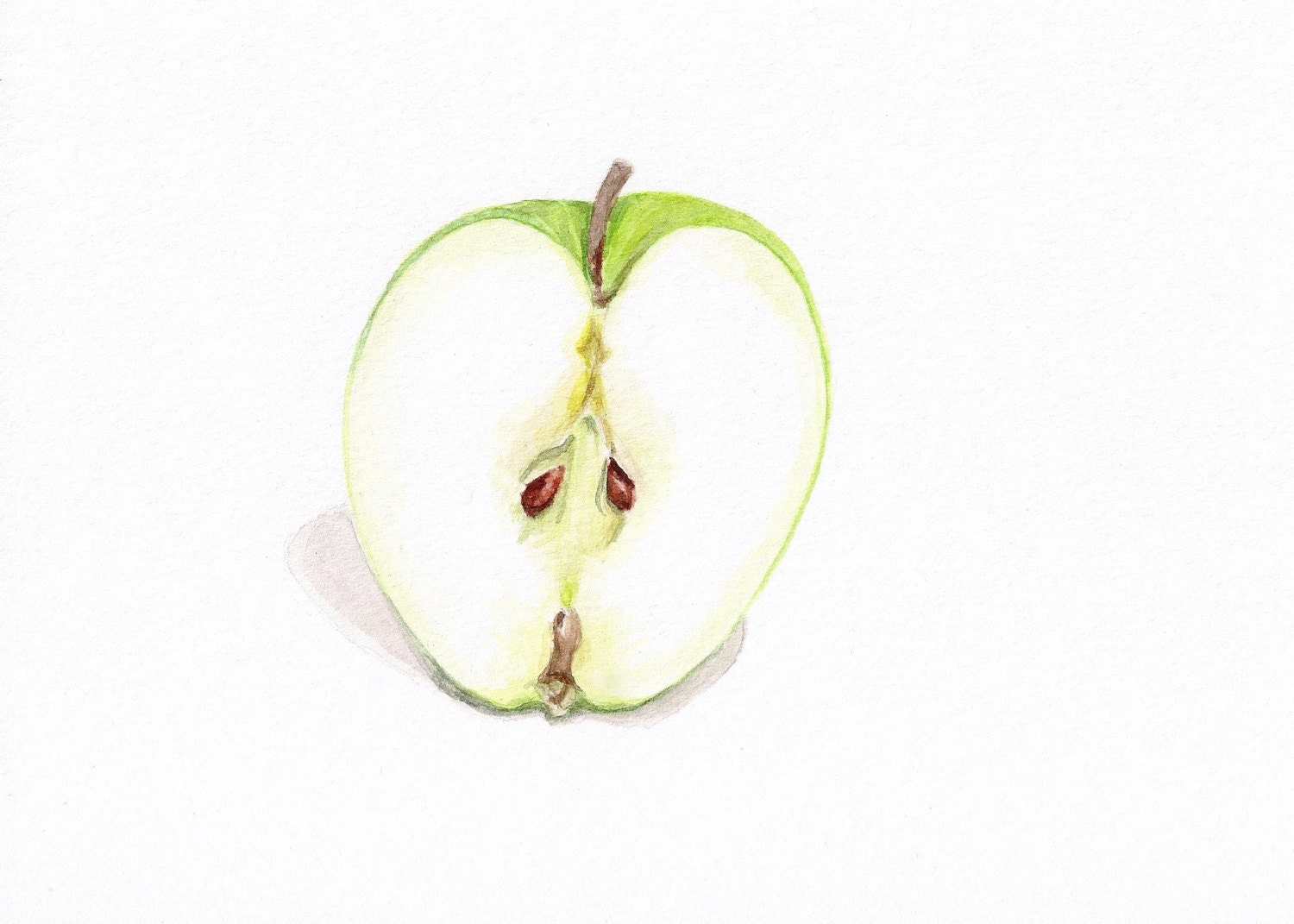 Green Apple Art Print for Kitchen Dining Room - Etsy