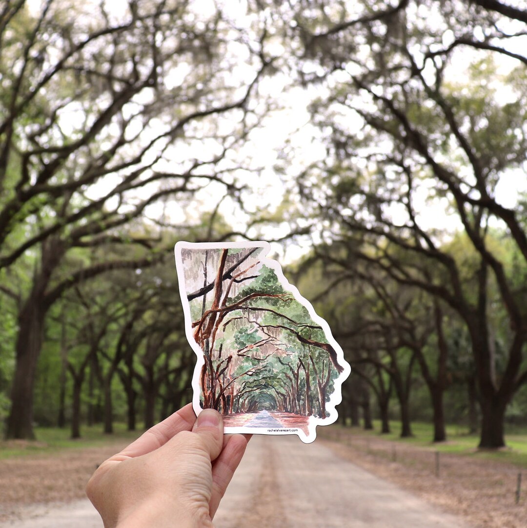 Cool Laptop Sticker - Georgia Car Decal - Georgia State Decal- Georgia ...