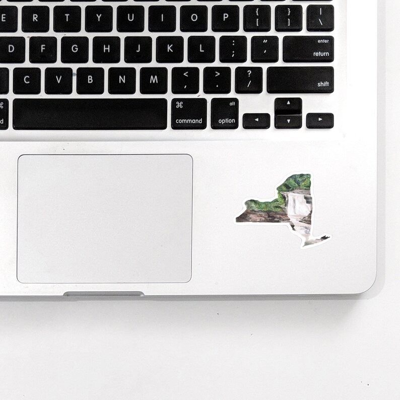 Georgia state vinyl laptop decal sticker all 50 states | Etsy