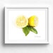 Lemon Decor Farmhouse Lemon Home Decor Lemon Kitchen Print | Etsy