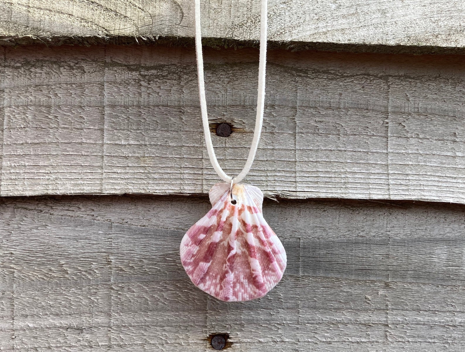 Handmade Shell Necklace on White Faux Suede Cord - Etsy Canada