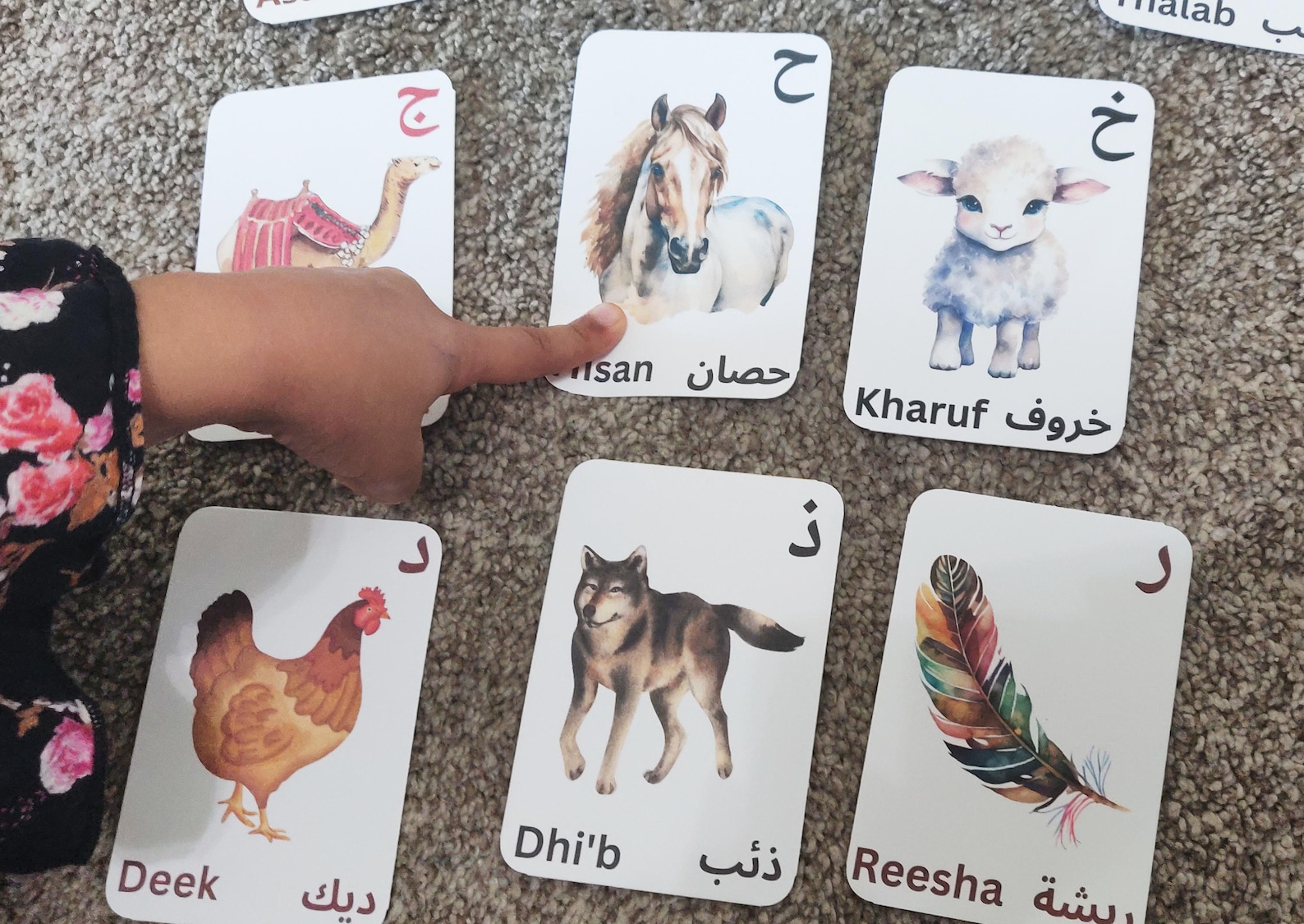 Arabic Alphabet Flashcards, Arabic Letters, Flashcards, Digital DIY ...