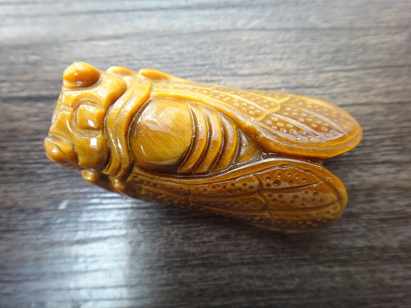Natural Tiger Eye Stone Cicada Amulet Pendant - Etsy