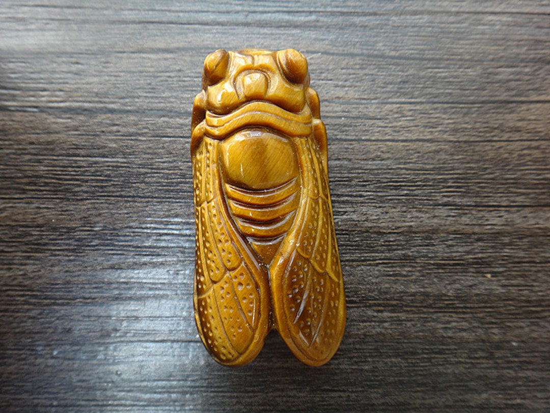 Natural Tiger Eye Stone Cicada Amulet Pendant - Etsy