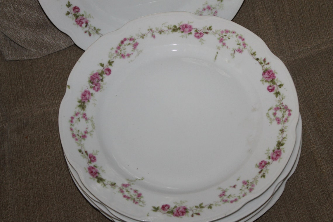 Alice Austria Vintage Porcelain China Collection of 6 Dinner | Etsy