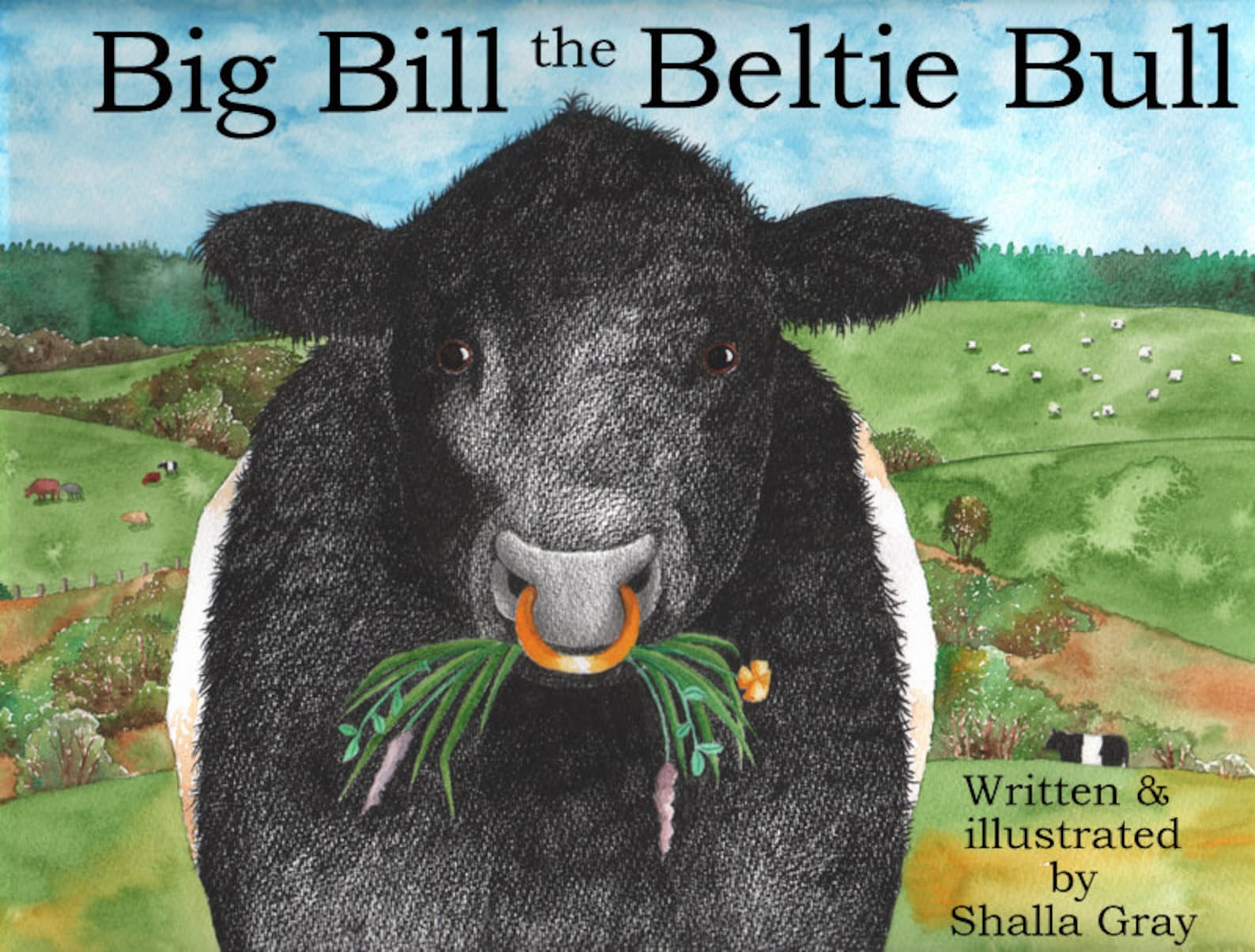 Big Bill the Beltie Bull - Beautifully Illustrated Children's Book Set ...