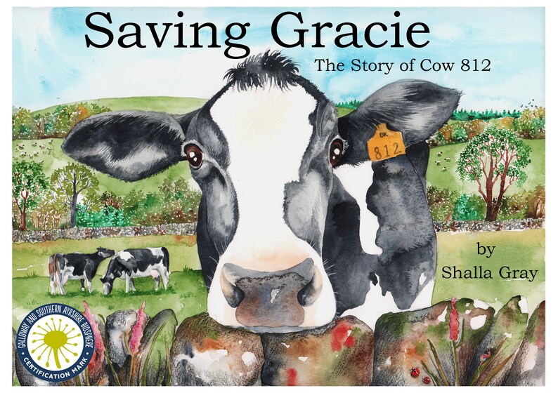 Saving Gracie - the Story of Cow 812 -childrens Book Scotland Dairy Cow ...