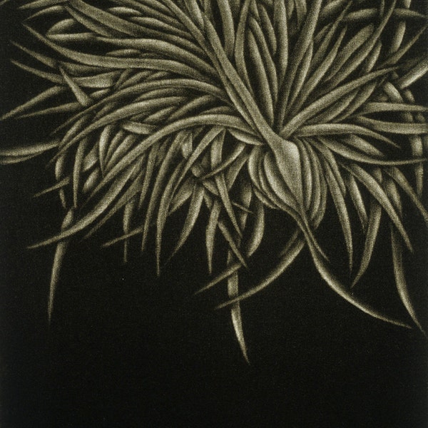 Fine Art Printmaking - Etsy