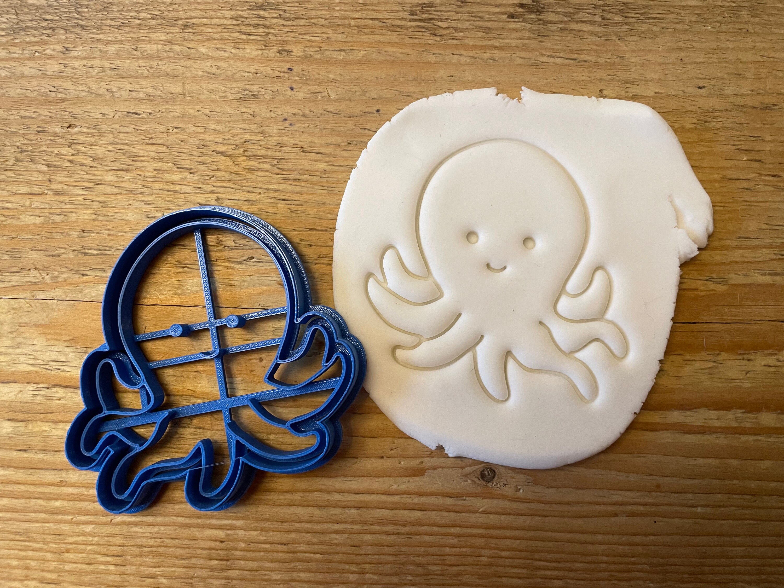 Octopus Cookie/ Biscuit Cutter, Decorating Ideas, UK, Sea Creature ...