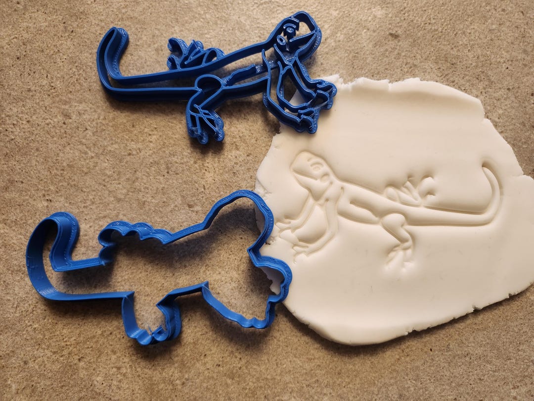Lizard Cookie Cutter, Biscuit Baking Accessories, Cake Decoration ...
