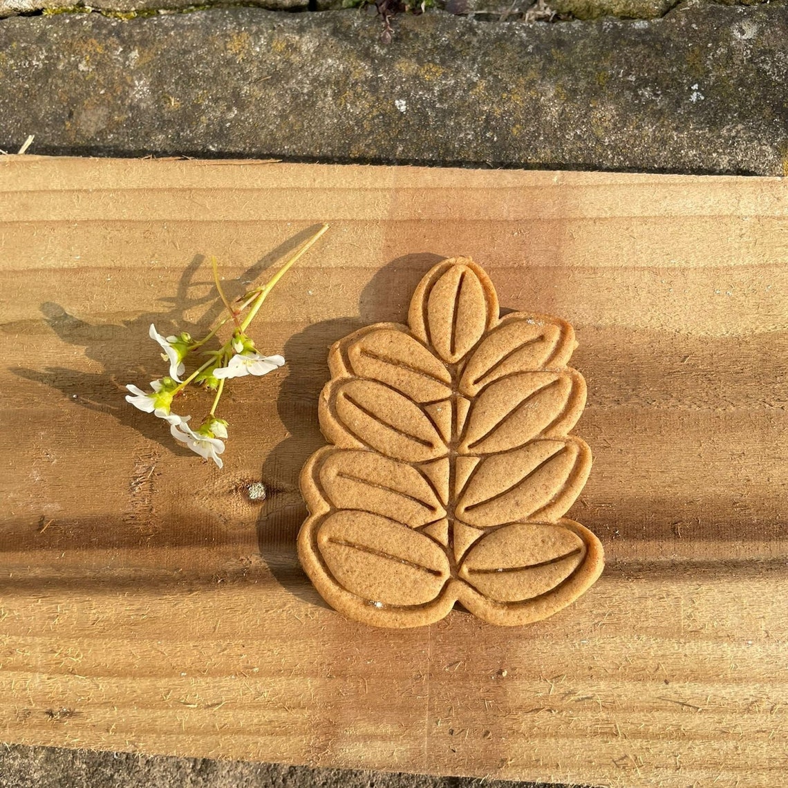 Pinnate Leaf Cookie Cutter, Biscuit, Gift Ideas, Tree, Green, Spring ...