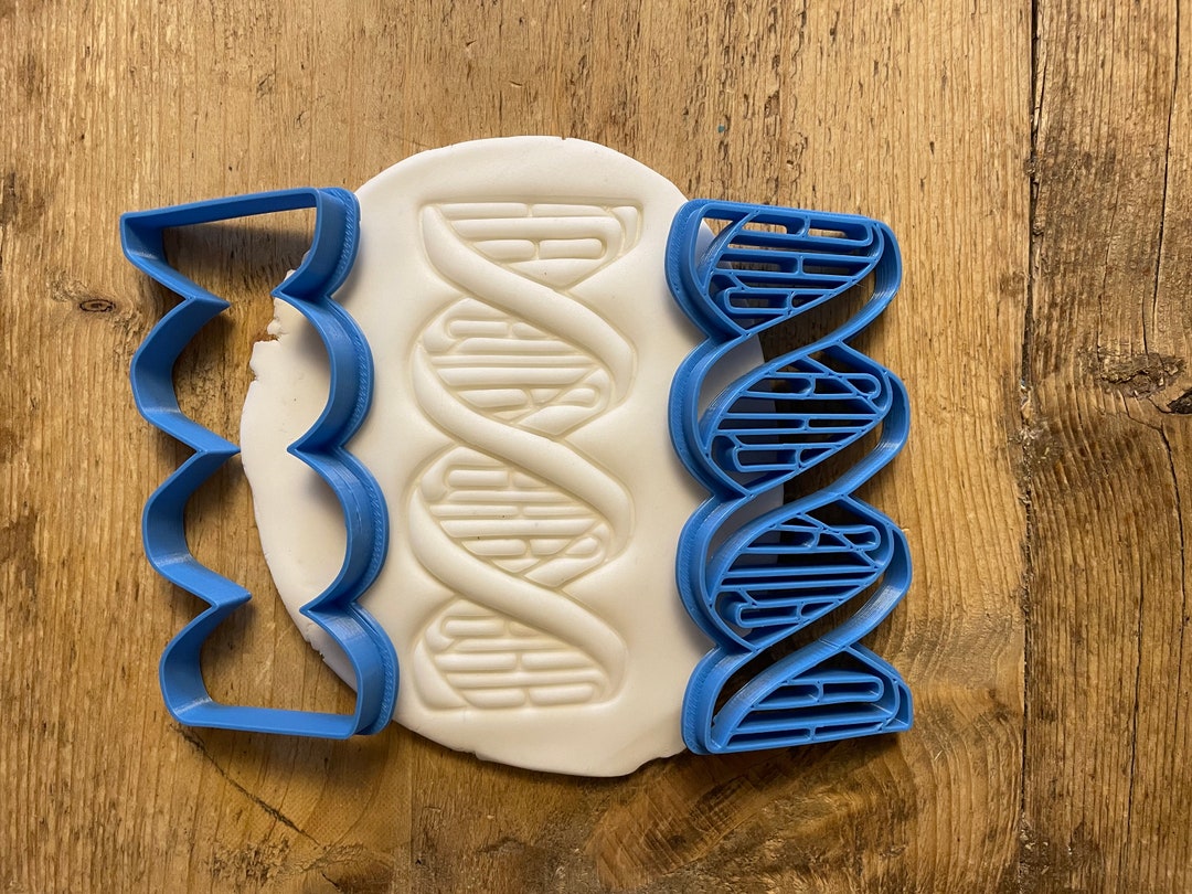DNA Cookie Cutter, Biscuit Cutter, Cake Design, Icing Decoration - Etsy